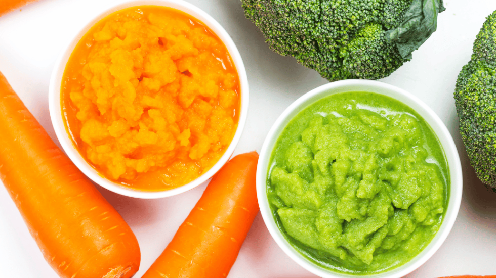 Creating Appetizing Pureed Foods for Seniors | Dysphasia-Friendly Tips
